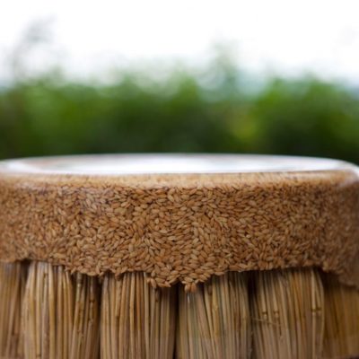 Gina hsu + nagaaki shaw: Ghế làm từ Rơm