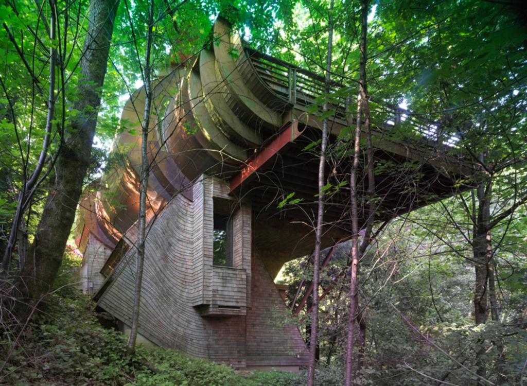 Wilkinson House - Ngôi nhà trong những tán cây / KTS Robert Harvey Oshatz