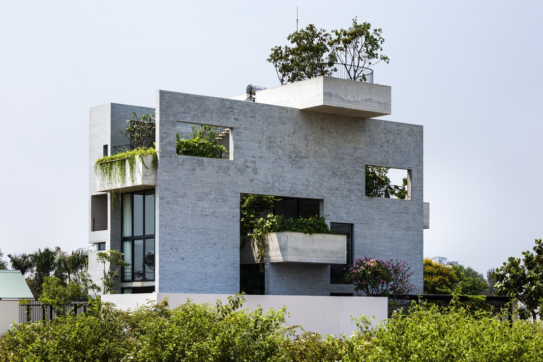 Binh House: Chấm xanh giữa lòng thành phố