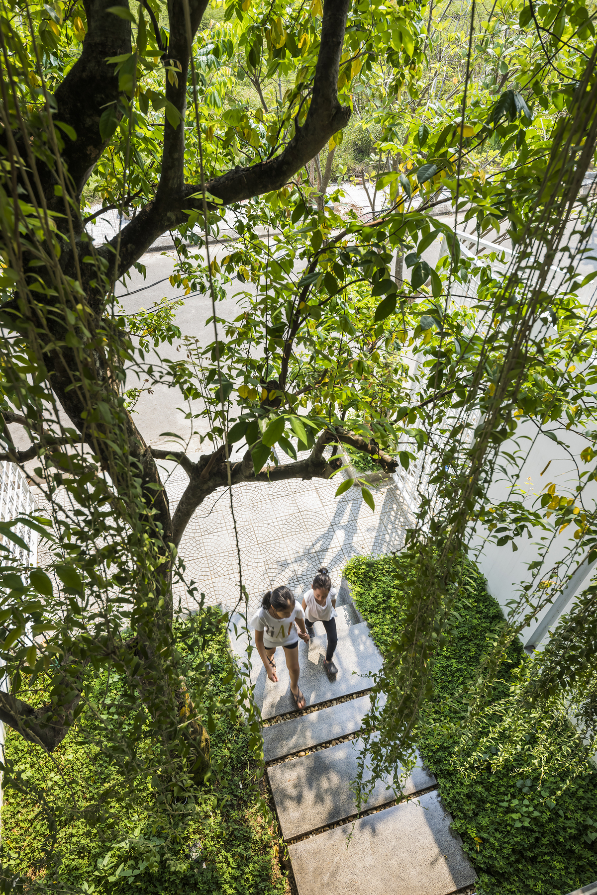 The Flow of Time House - Dòng chảy thời gian | MW archstudio