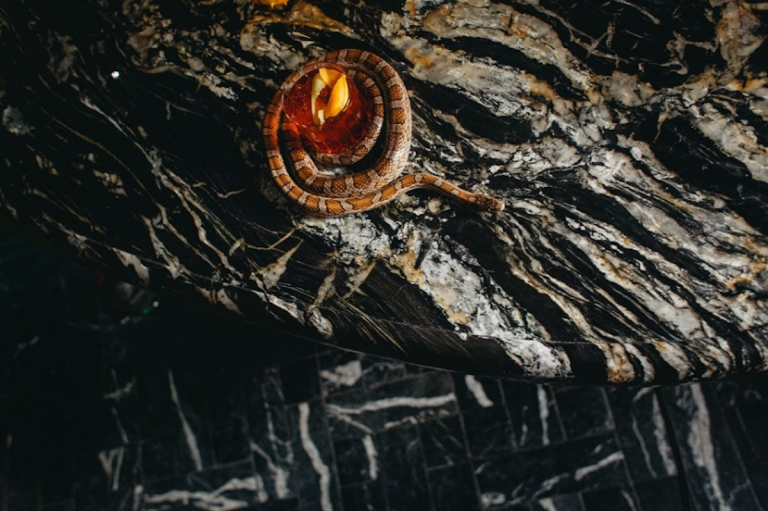 Sechser night - Không gian siêu thực của thế giới ngầm | Söhne ...