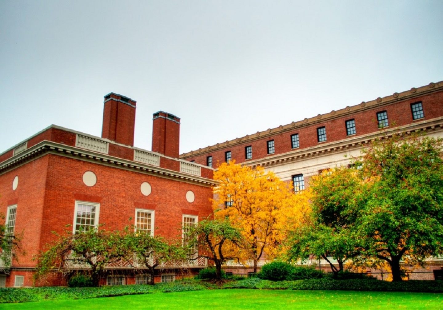 Explore the library of Harvard University - The most prestigious school ...